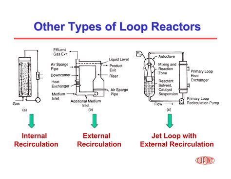Catalyrtic Reactors Ppt Pdf Chemistry Science
