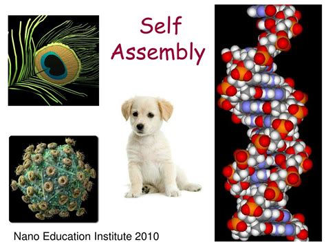 ppt self assembly powerpoint presentation free download id 9171737