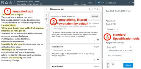 Hypothesis Annotation In Canvas Now With Speedgrader Hypothesis