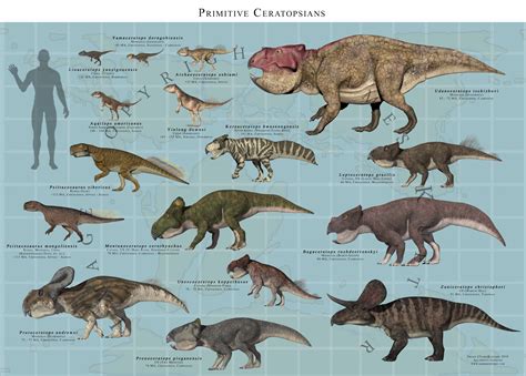Primitive Ceratopsians By Paleoguy Dinosaur Dinosaur Posters
