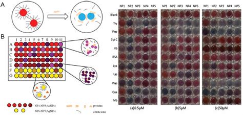 Left Illustrative Figures Of The Colorimetric Sensing Array