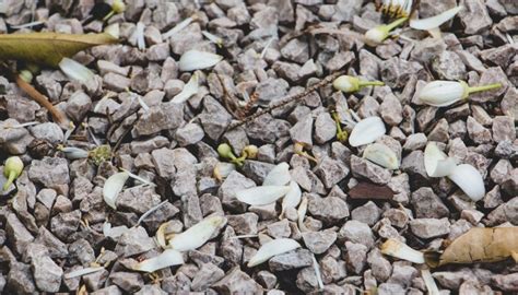 Benefits Of Recycled Aggregates In Construction
