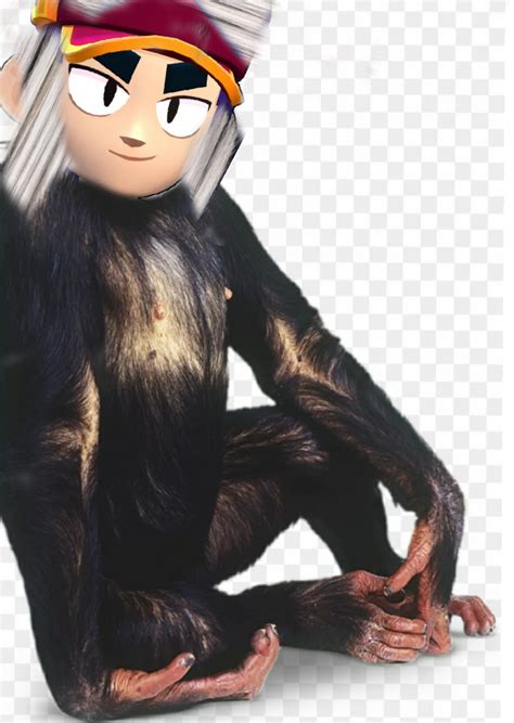 New Fang Skin Leaked R Brawlstars