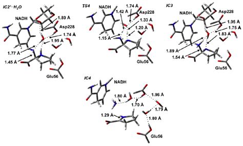 Optimized Structures See Computational Methods With Selected Bond Download Scientific Diagram