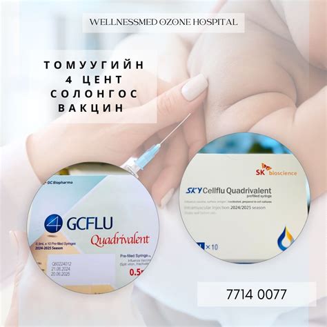 Wellnessmed Ozone Hospital Томуугийн вакциныг хэзээ хийлгэх хэрэгтэй вэ Томуугийн вакцин