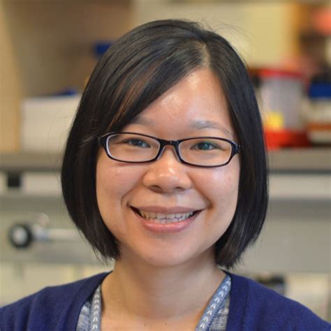 Induced Cortical Neuron Differentiation Part 1 Overview Aligning