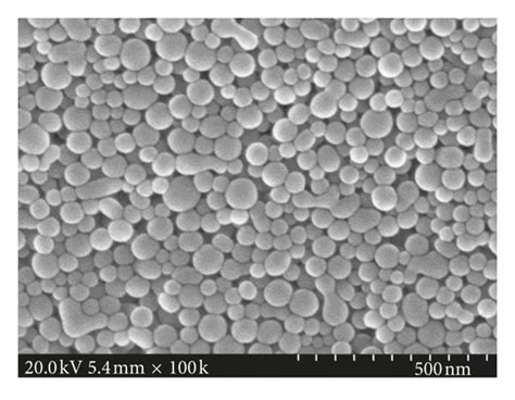 Sem Micrograph Of Functionalized Silica Nanoparticles Download Scientific Diagram