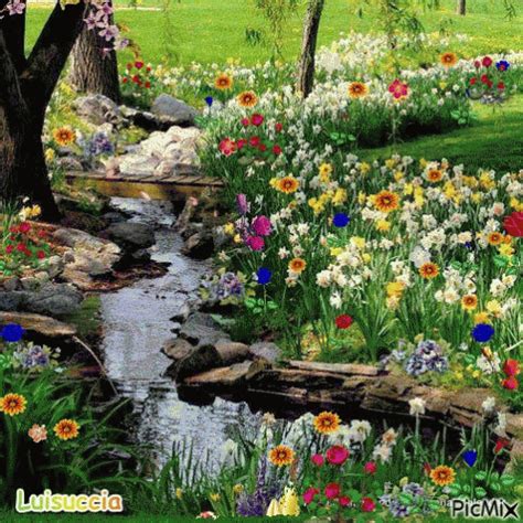Garden  10  Images Download