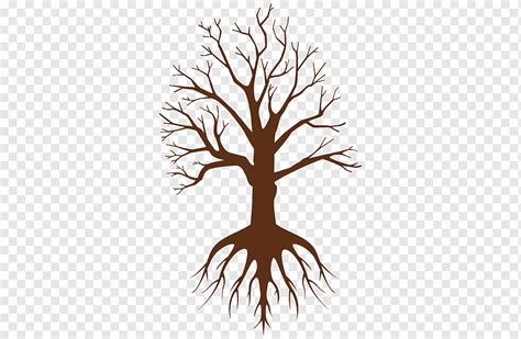 흑백 꽃 뿌리 트리 식물 일본 우디 식물 지점 잎 검정색과 흰색 분기 꽃 Png Pngwing