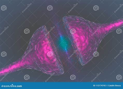 Synapse Between Two Neurons Neural Synapse Receptors Neuron Link Neural Network Stock
