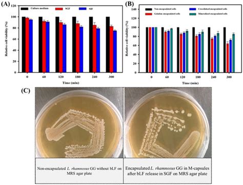 Microencapsulation Of Lacticaseibacillus Rhamnosus Gg For Oral Delivery