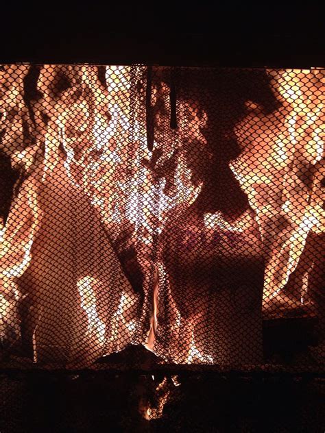 Julius Kellner Juliuskellner Twitter