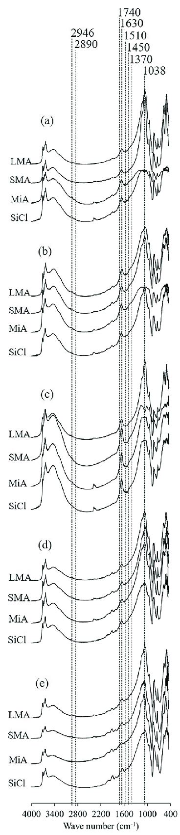 Representative Ftir Spectra Of Large Macroaggregate Lma Small Download Scientific Diagram