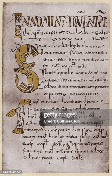 Civil Law Code Photos And Premium High Res Pictures Getty Images