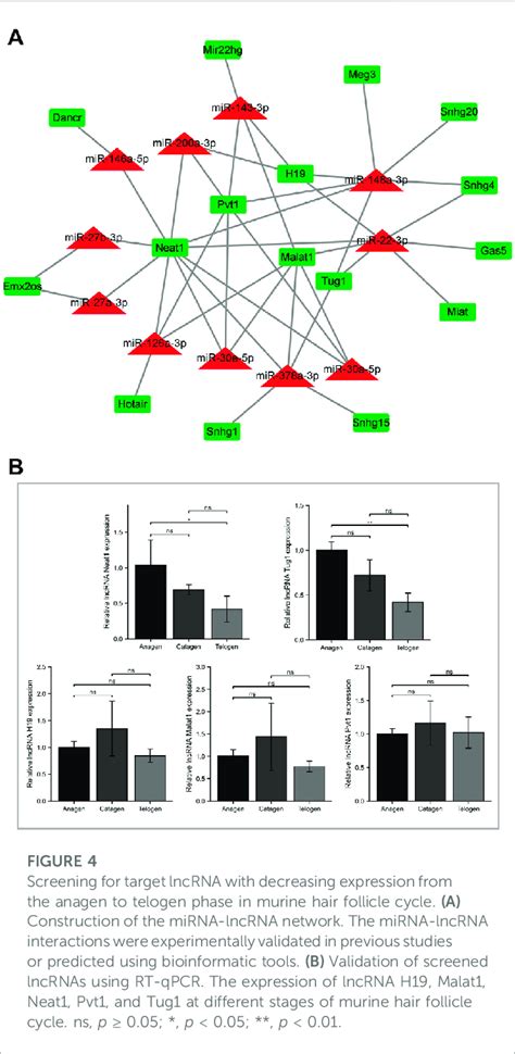 continued set gse11186 the expression of atp6v1a cacna2d3 cdkn1a