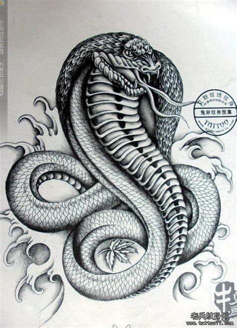 素描画蛇 铅笔画蛇 素描画鲨鱼 大山谷图库