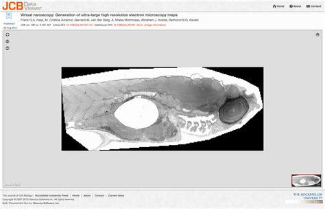 Liza Unson Uiux Designer Visual Design Portfolio