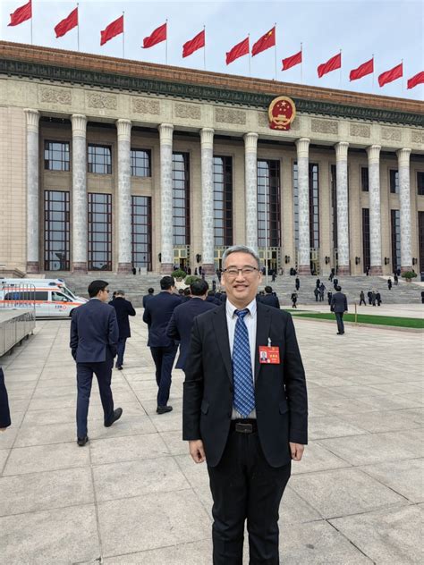 两会 孙涛垒代表：提升专利申请及审查质量