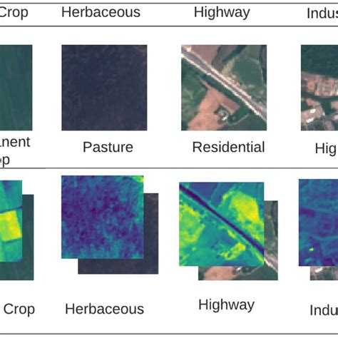 Images Predicted Via Model Trained On Rgb And Nir Dataset Which Were Download Scientific Diagram