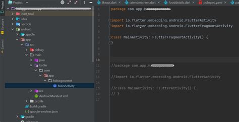 Stripe Payment Gateway Integration In Flutter