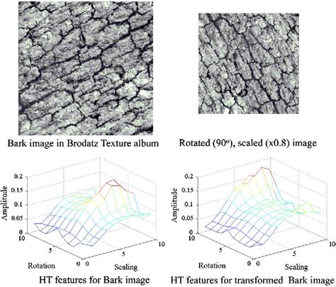 Figure 1 From Scale And Rotation Invariant Texture Classification Using Covariate Shift