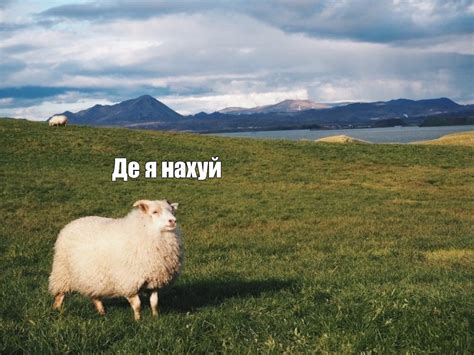 Комикс мем Де я нахуй Комиксы Meme