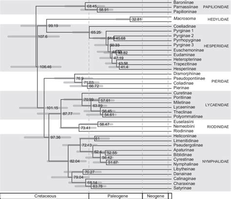 Time Calibrated Tree Obtained From The Core Analysis Only The Download Scientific Diagram