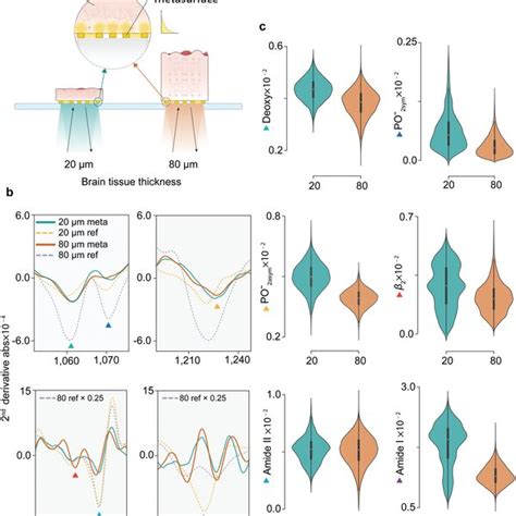 Polarization‐multiplexed Multi‐resonant Broadband Plasmonic Download Scientific Diagram