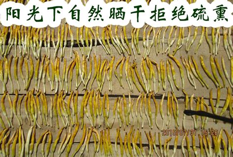 甘肃天然特级庆阳黄花菜干货500g农家自产散装无硫熏下奶金针菜 虎窝淘