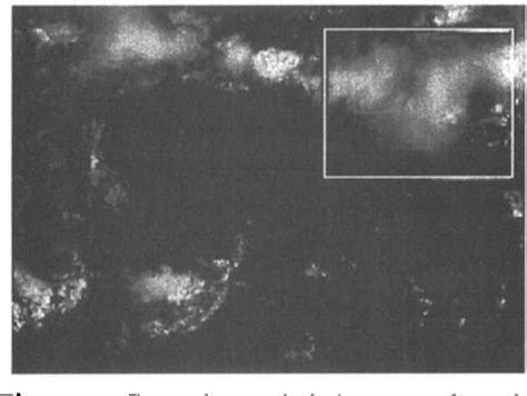 Figure 1 From Testing The Coherence Of Cirrus Microphysical And Bulk