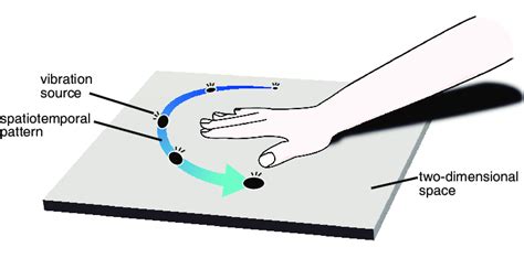 Vibrotactile Spatiotemporal Pattern Recognition Download Scientific Diagram
