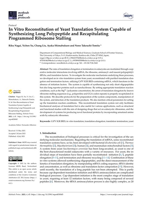 Pdf In Vitro Reconstitution Of Yeast Translation System Capable Of Synthesizing Long