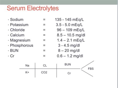Normal Serum Electrolytes