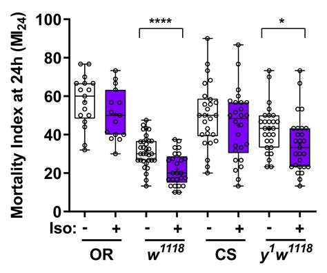 The Serial Anesthesia Array For The High Throughput Investigation Of