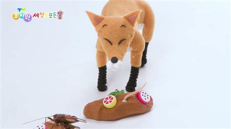 [세상의 모든 똥] 영리하고 호기심 많은 여우 응가 만들기 Kbs 221109 방송 Zum Tv