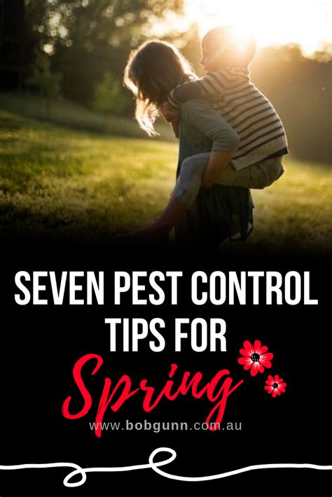 Spring Pest Control 7 Ways To Keep Pests Out Of Your Home Pest