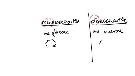 Solved Which Of The Following Statements Best Describes The Main Difference Between A