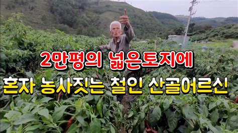 2만평의 넓은 토지에 혼자 농사짓고 계신 산골 철인 어르신 Youtube