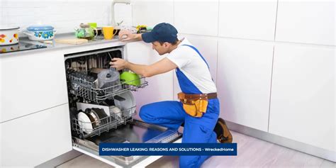 Dishwasher Leaking 8 Causes And Solutions