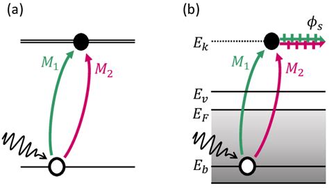 A Interference Of Matrix Elements In Atomic Photoionization For The Download Scientific