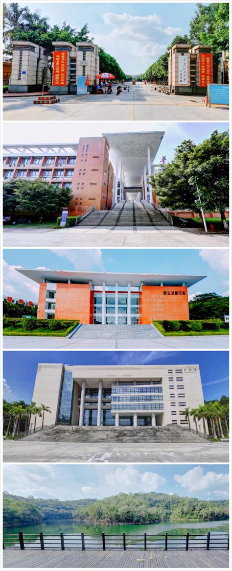 广州城市理工学院4459 广州城市理工学院3260 广州城市理工学院环境 大山谷图库