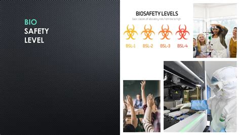 Biosafety Levels From 1 4 In Laboratories Pptx