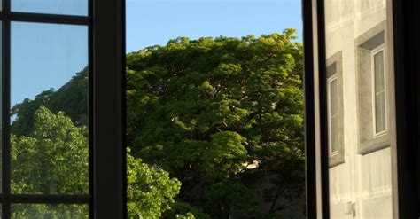 집 밖의 객실보기 건물 외관 건축 대비 경치 좋은 전망 고요한 관찰 그림자 나무 꼭대기 낮 노천 녹지 도시 녹지 도시 성격 도시 풍경 무성한