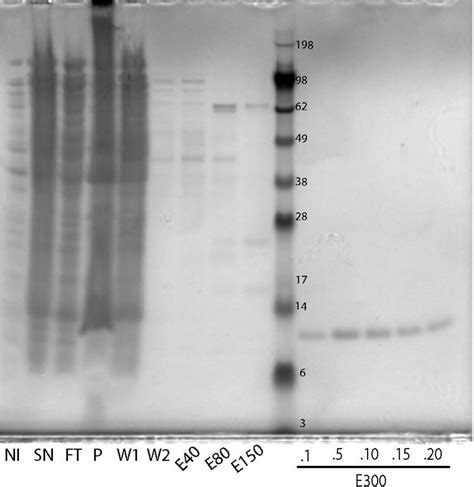 357 Questions With Answers In Nanodrop Spectrophotometer Science Topic