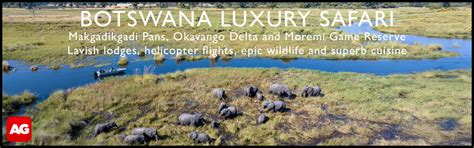 How Apes Use Sex To Keep The Peace Africa Geographic