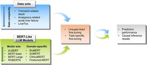 Figure 1 From Bidirectional Encoder Representations From Transformers Like Large Language Models