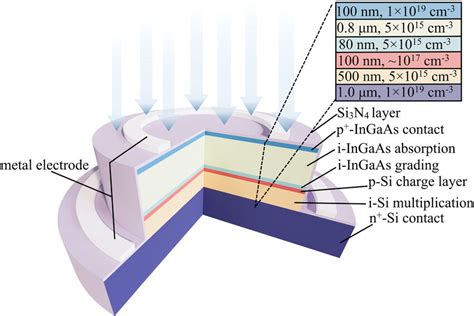 Schematic Diagram Of The Wafer Bonded Ingaassi Apd Download