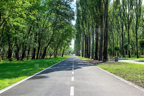 柏油路在绿色公园
