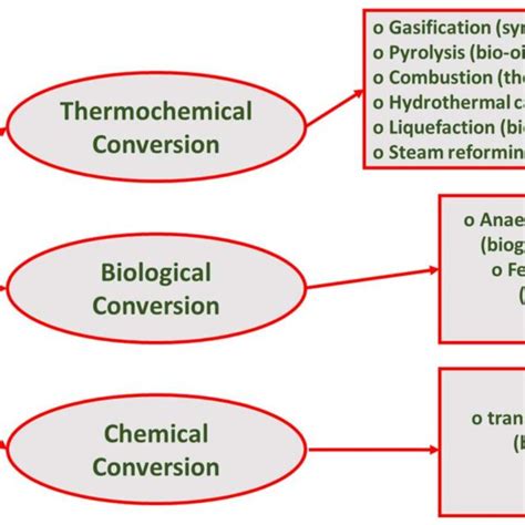 Biomass Conversion Technologies Download Scientific Diagram