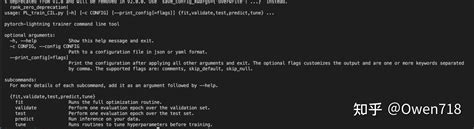 Pytorch lightning CLI LightningCLI 如何配合自定义logger callbacks 知乎
